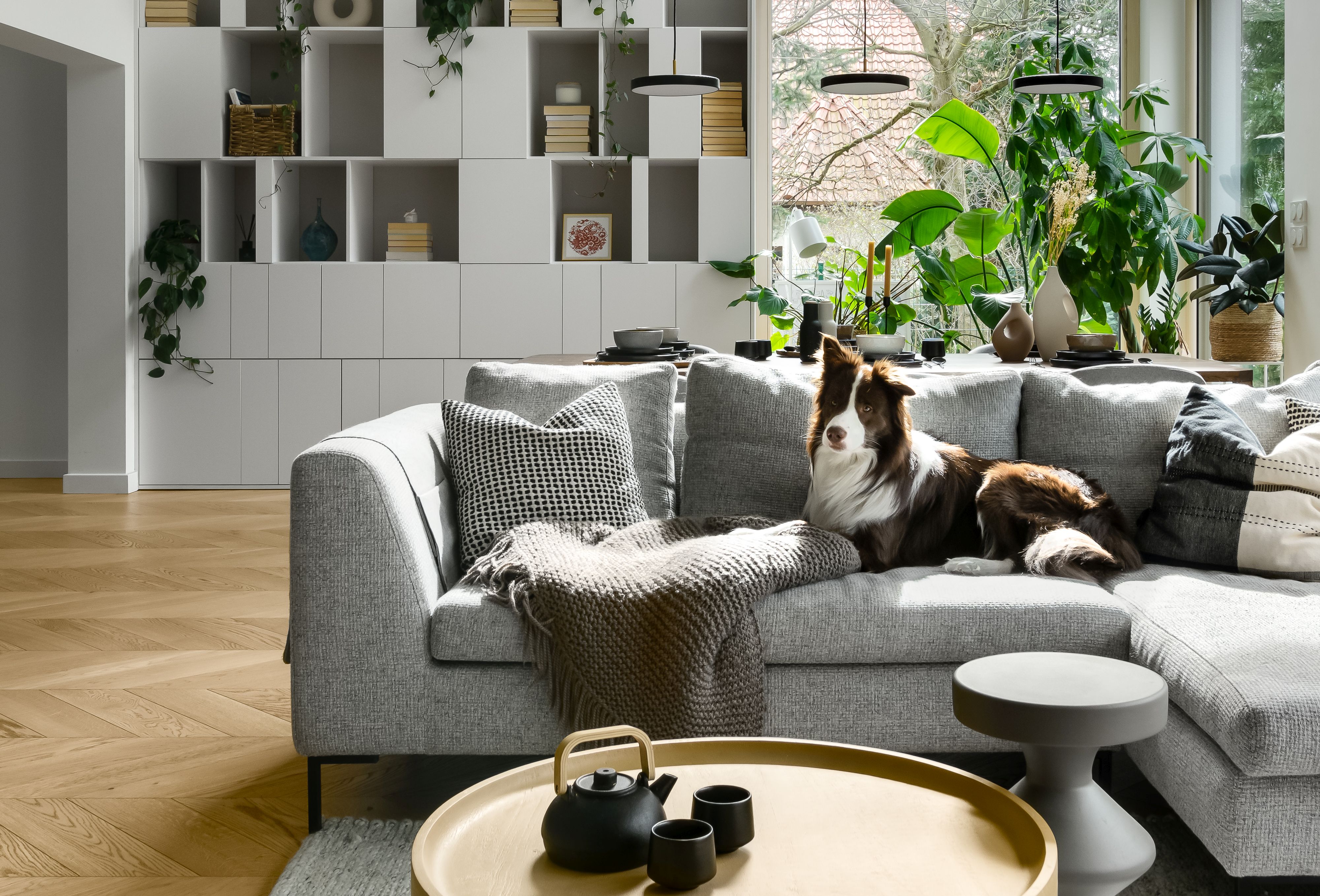 Rośliny w salonie. 5 projektów, w których się zakochasz. Tak wygląda ...